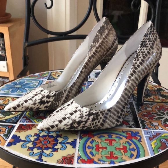 BCBGirls | Shoes | Bcbgirls Browncream Snake Print Pumps | Poshmark